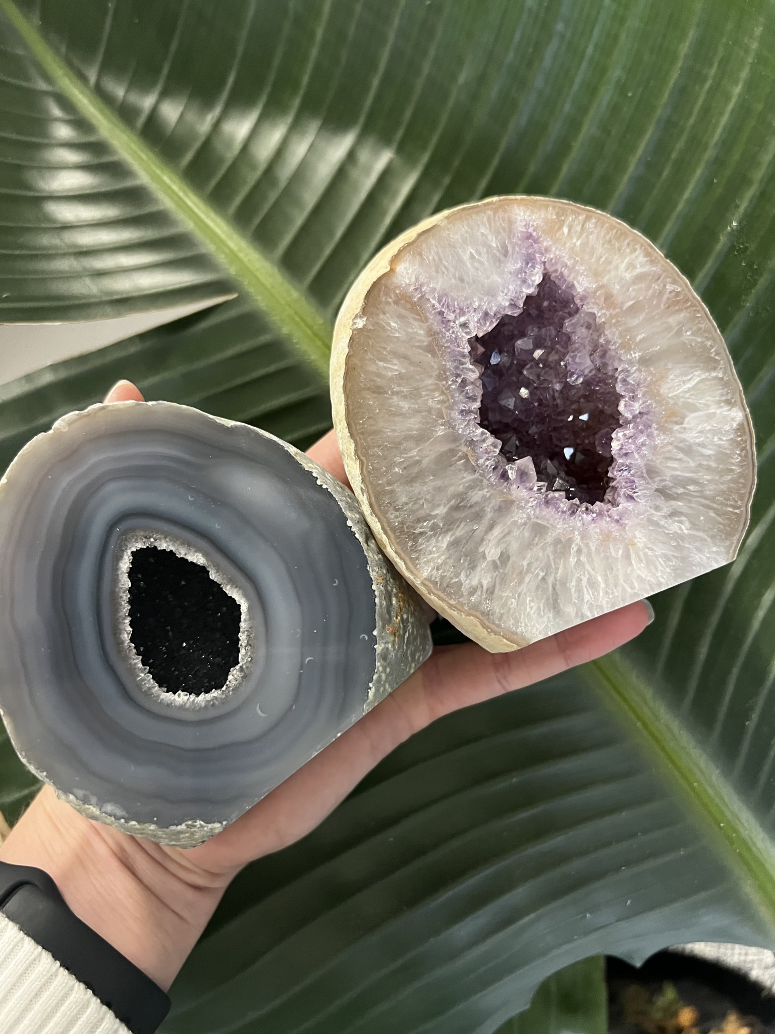 Natural Agate Geode Cut Base Size 8 [700-799gr] - The Raw Rock Shop Inc.