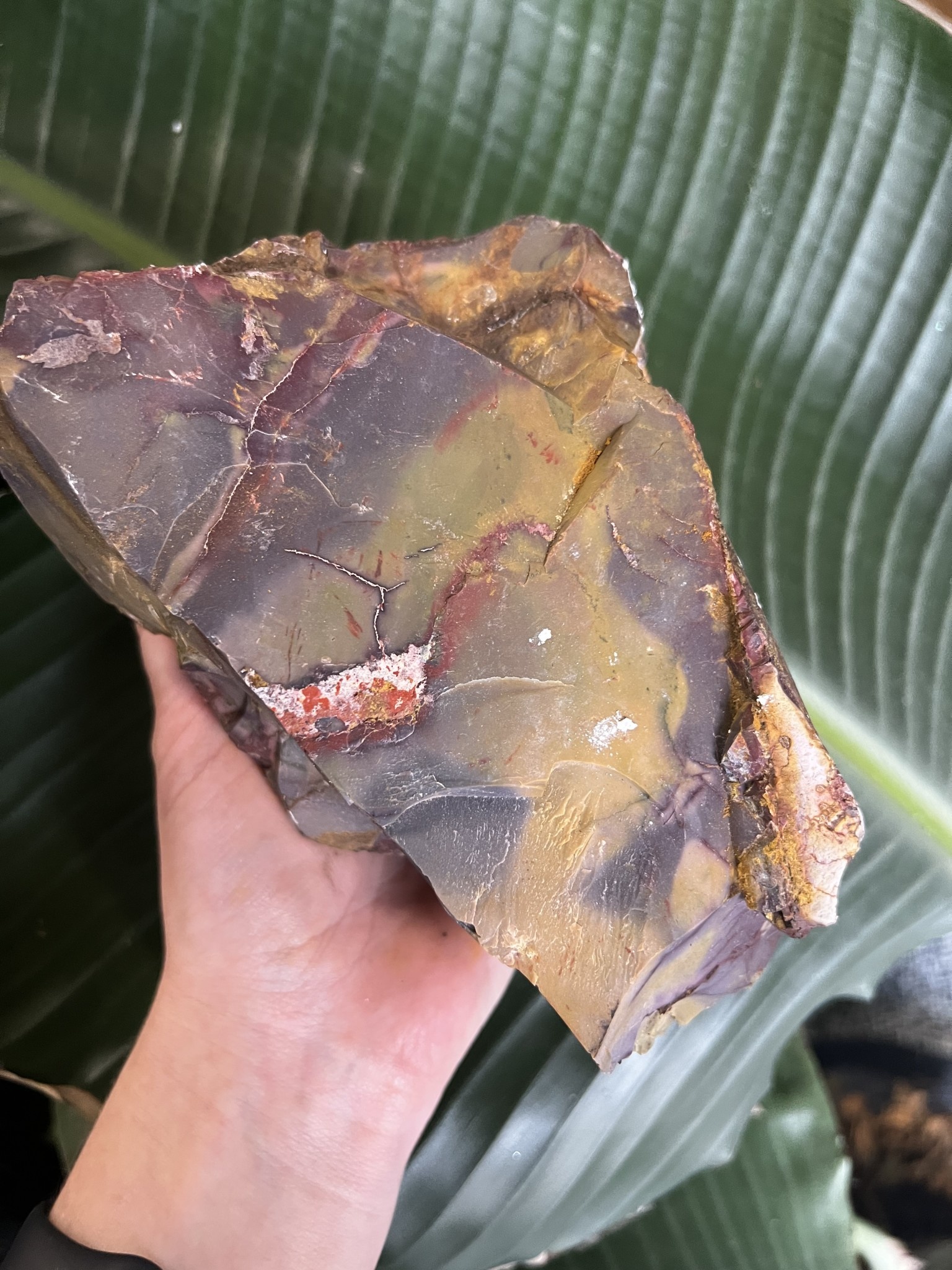Rough Mookaite Jasper Size 21 [2000-2099gr] - The Raw Rock Shop Inc.