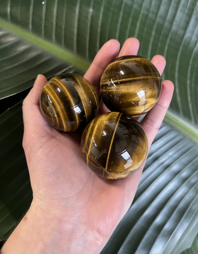 Tiger Eye Sphere, 45-49mm - The Raw Rock Shop Inc.
