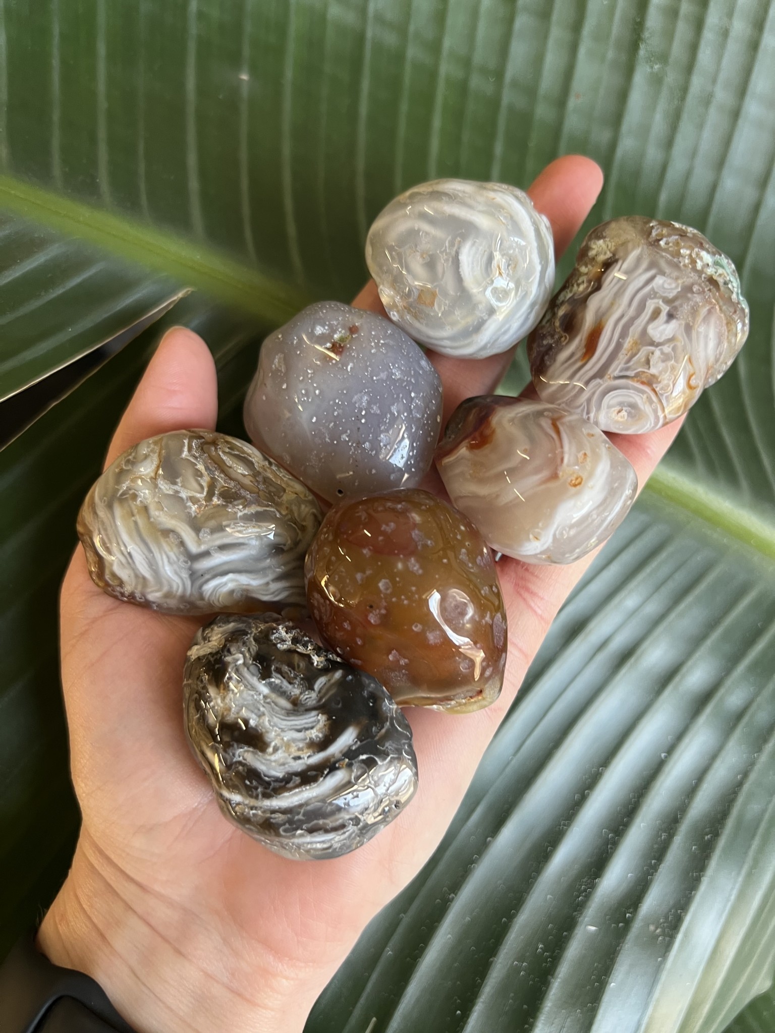 Enhydro Agate Size Small [25-49gr] - The Raw Rock Shop Inc.