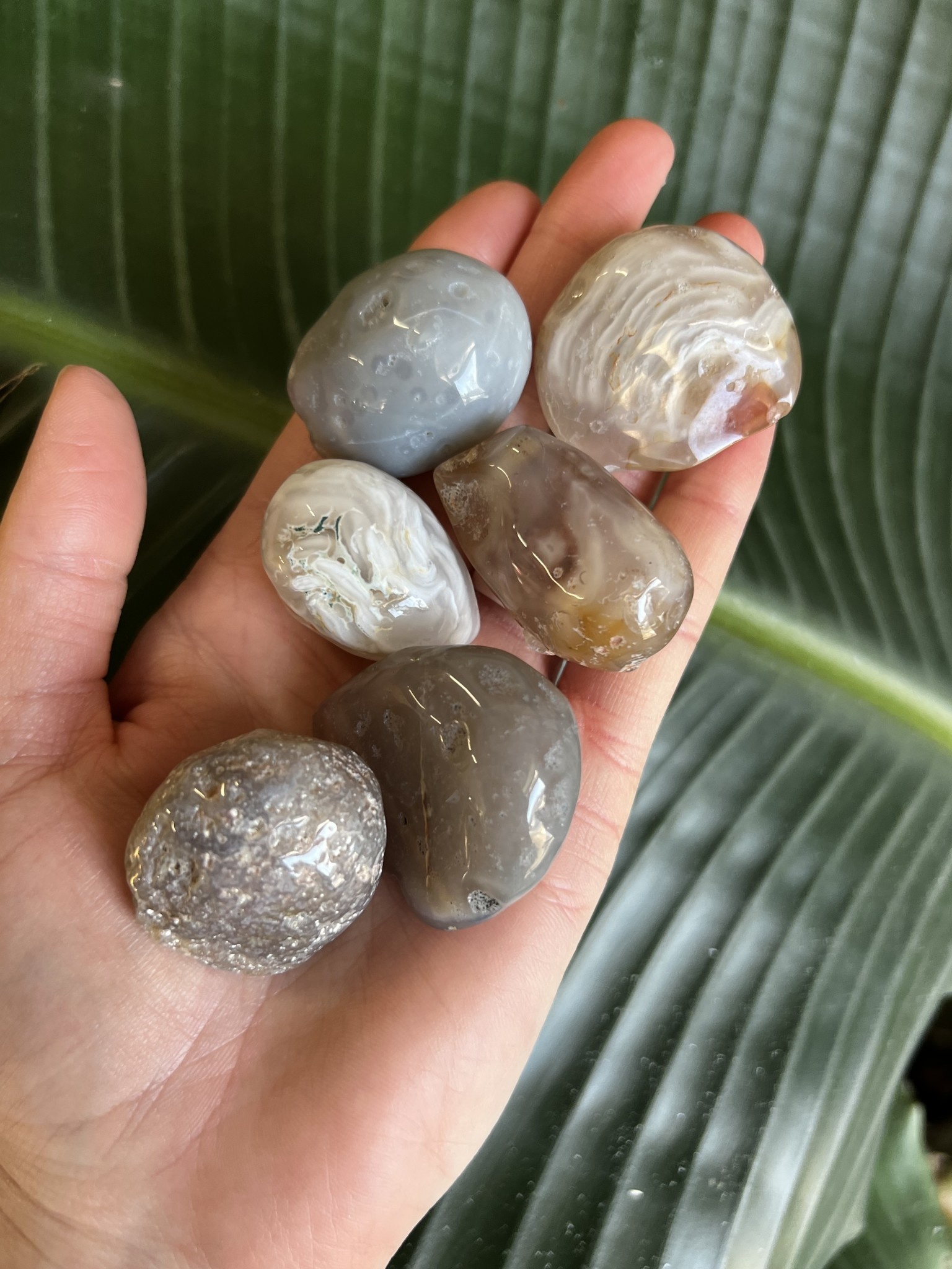 Enhydro Agate Size X-Small [1-24gr] - The Raw Rock Shop Inc.