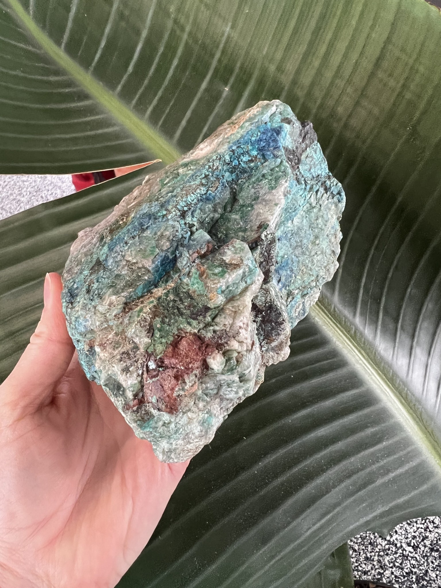 Raw Shattuckite Specimen #40, 1768gr - The Raw Rock Shop Inc.