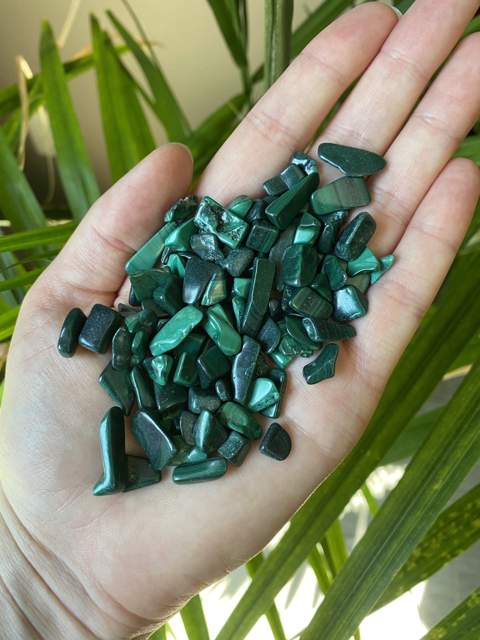 Malachite Chip Stones, Grade A - The Raw Rock Shop Inc.