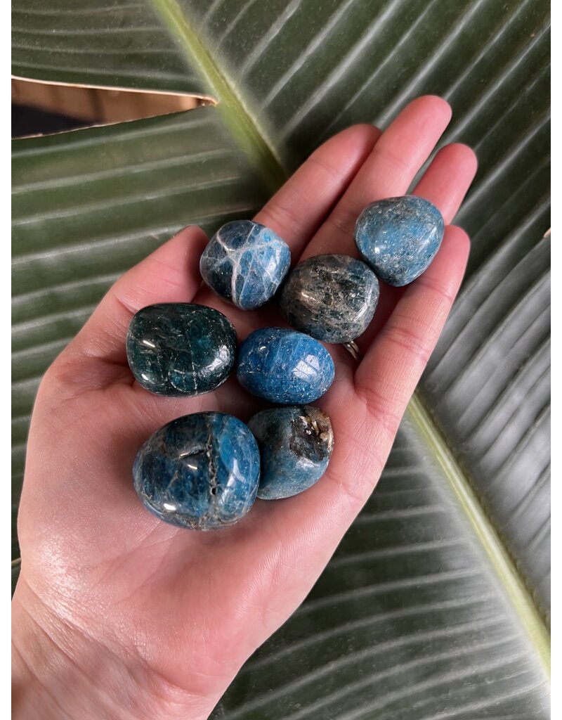 Apatite Tumbled Stones, Grade A, 1 Sizes Available, Purchase Individual ...