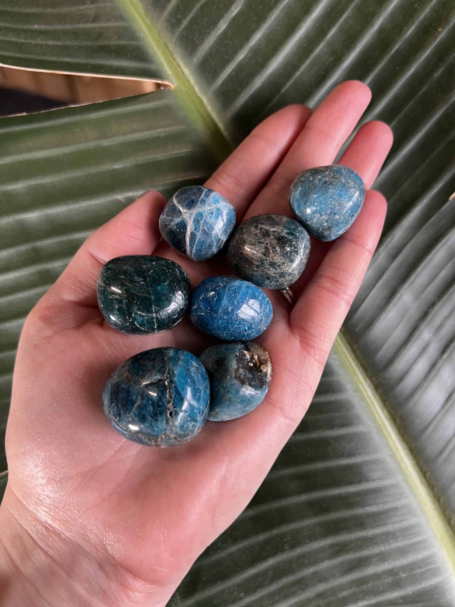 Apatite Tumbled Stones, Grade A, 1 Sizes Available, Purchase Individual ...