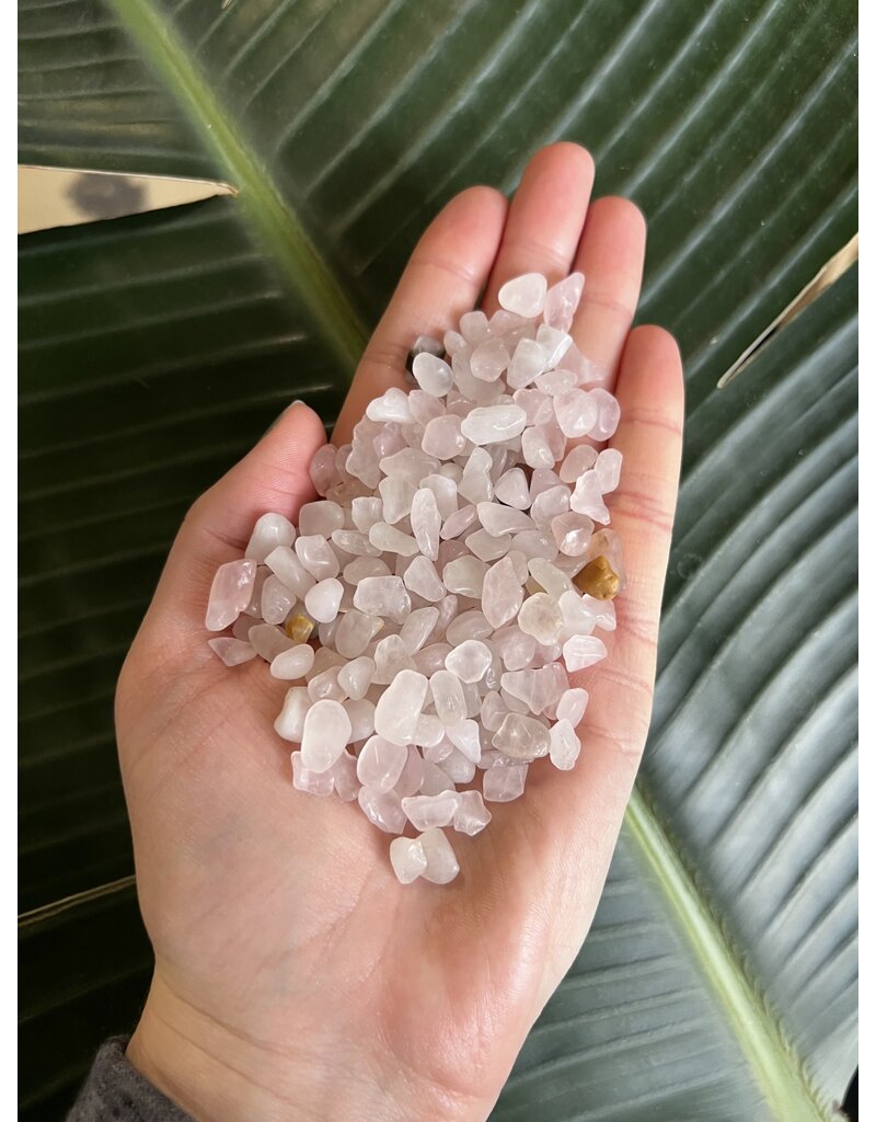 Rose Quartz Chip Stones, Size 03 Chip - The Raw Rock Shop Inc.