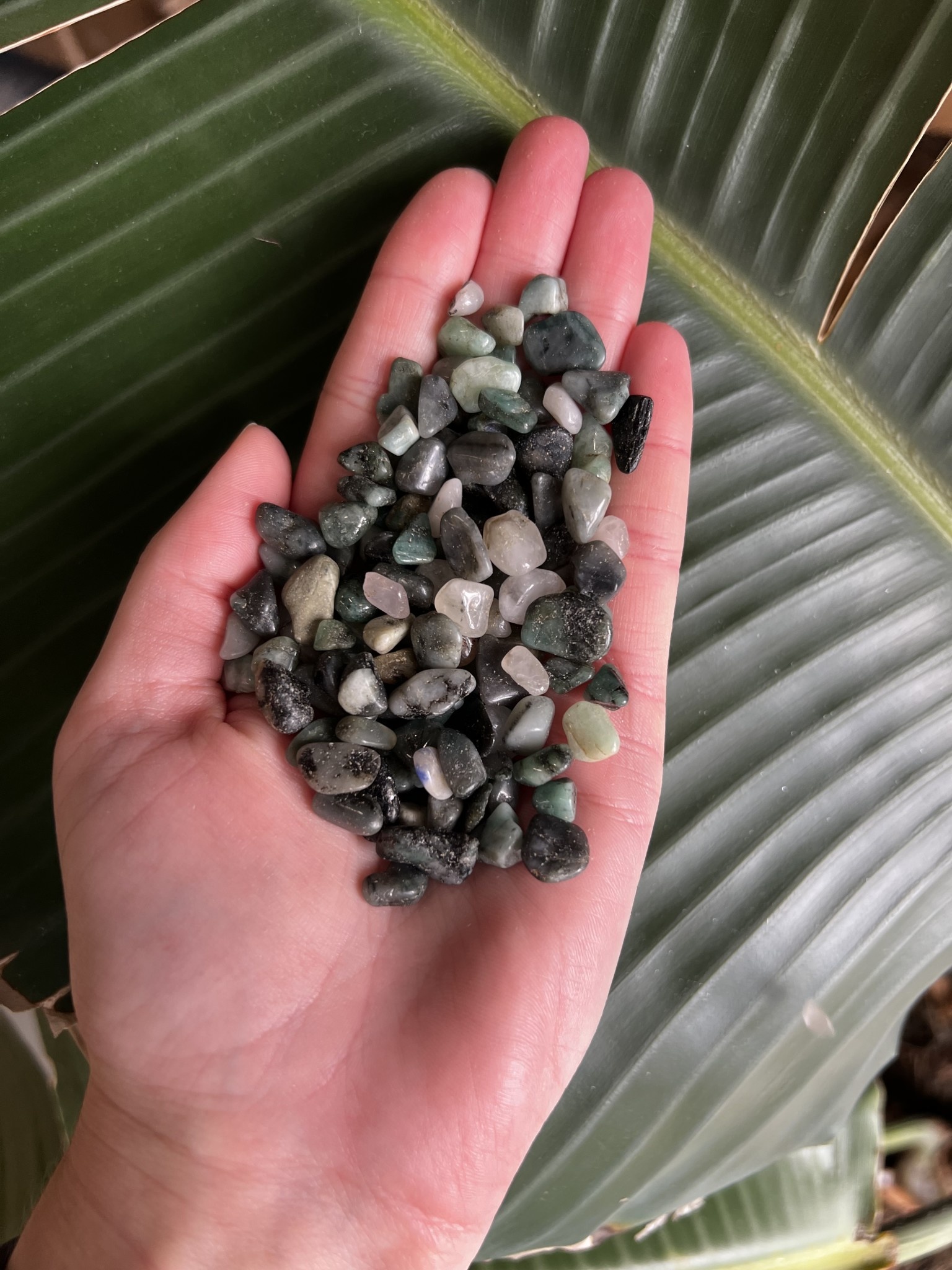 Emerald Chip Stones - The Raw Rock Shop Inc.