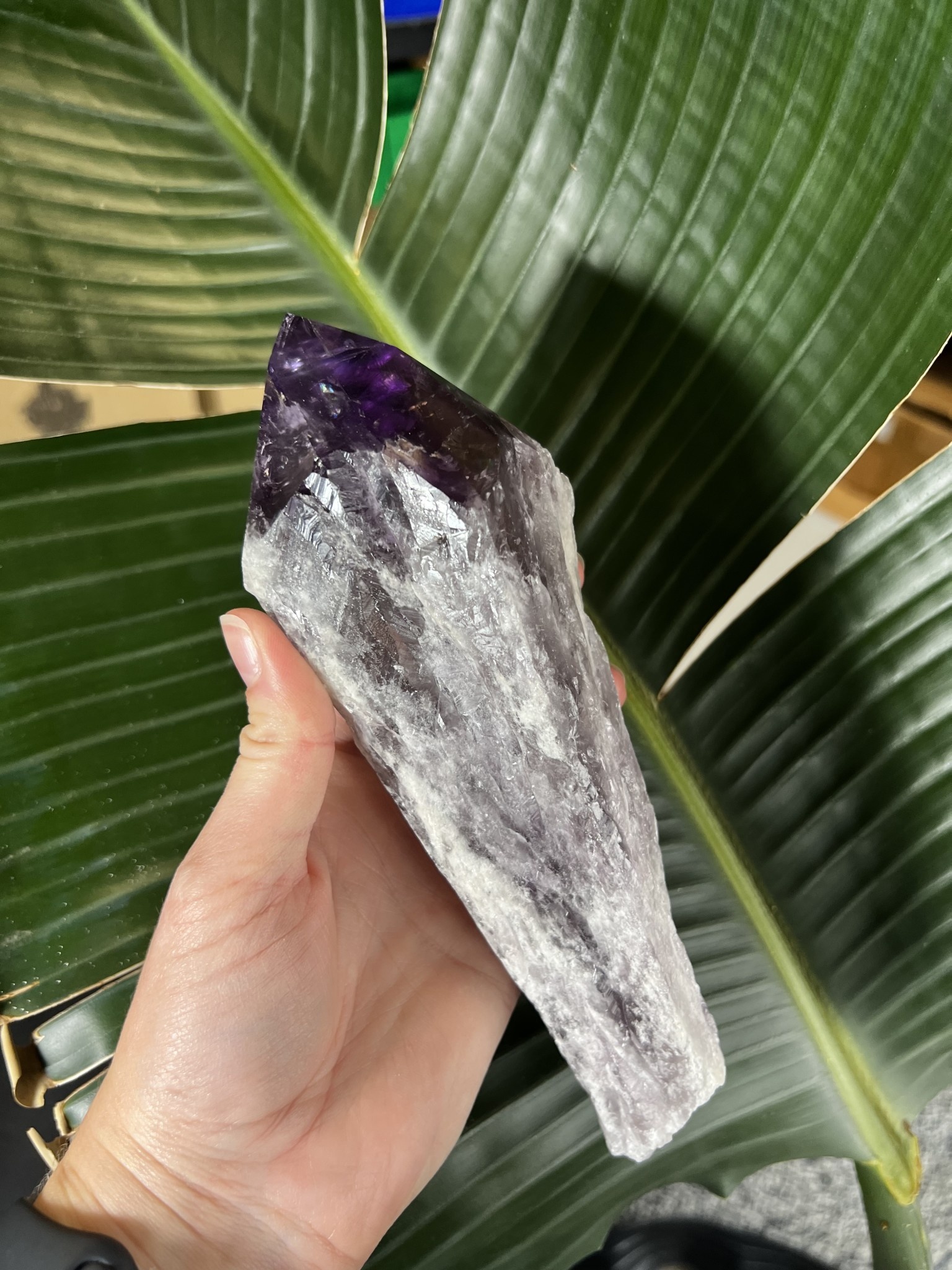 Amethyst Root #93, 768gr - The Raw Rock Shop Inc.