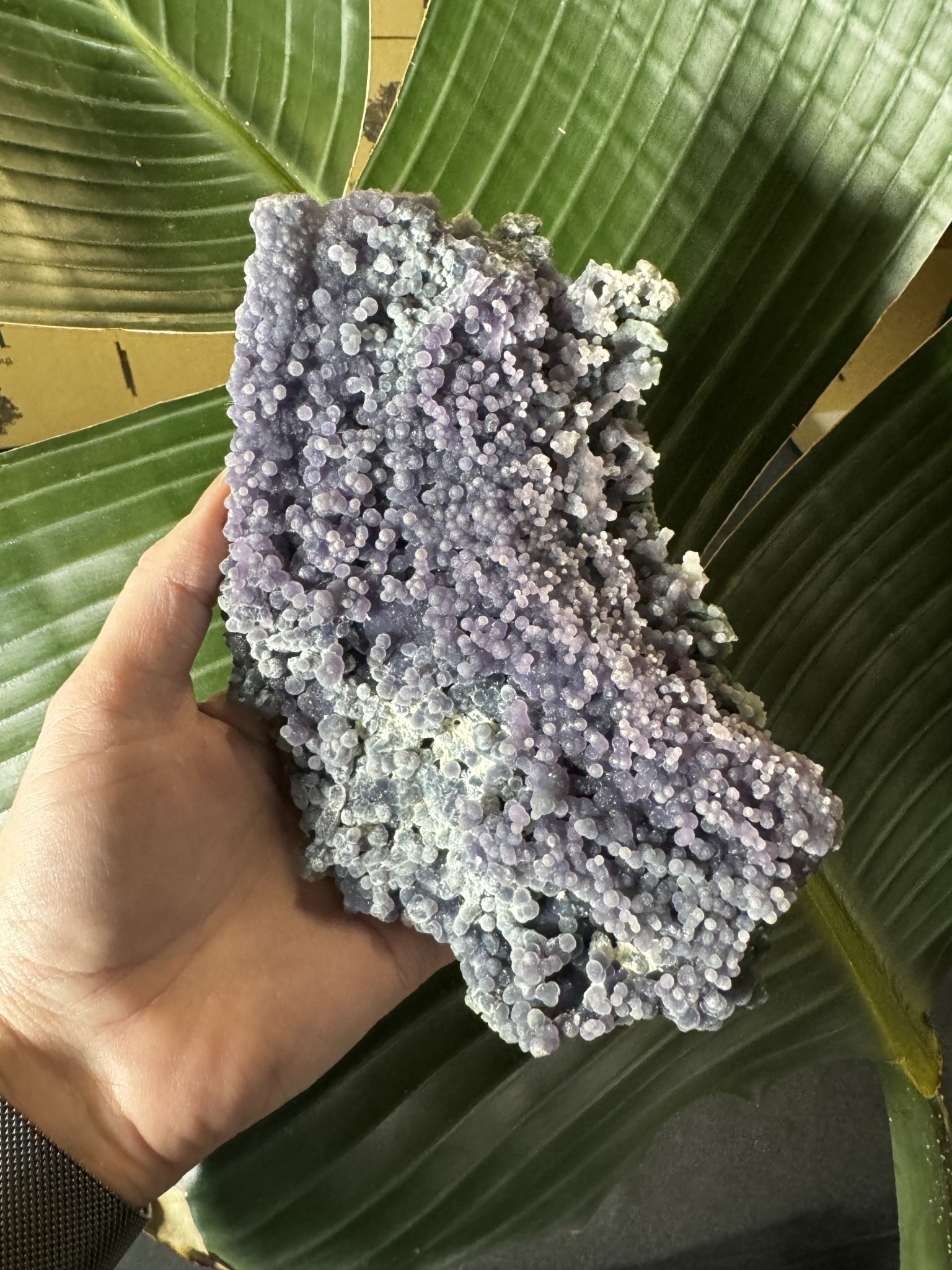 Grape Agate #186, 706gr - The Raw Rock Shop Inc.