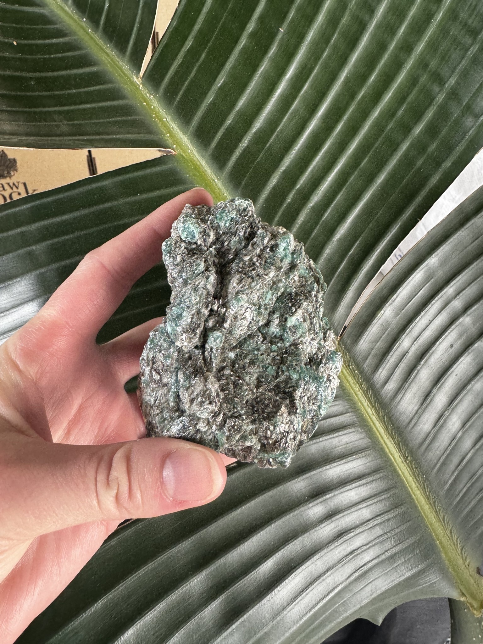 Emerald in Matrix Specimen #22, 302gr - The Raw Rock Shop Inc.