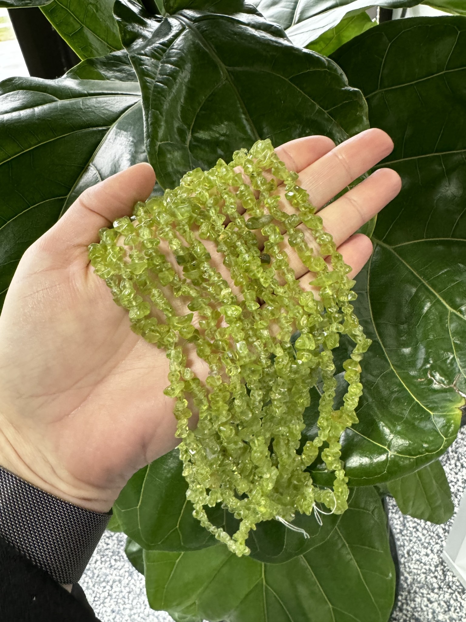 Peridot Chip Beads Polished 33" Strand - The Raw Rock Shop Inc.