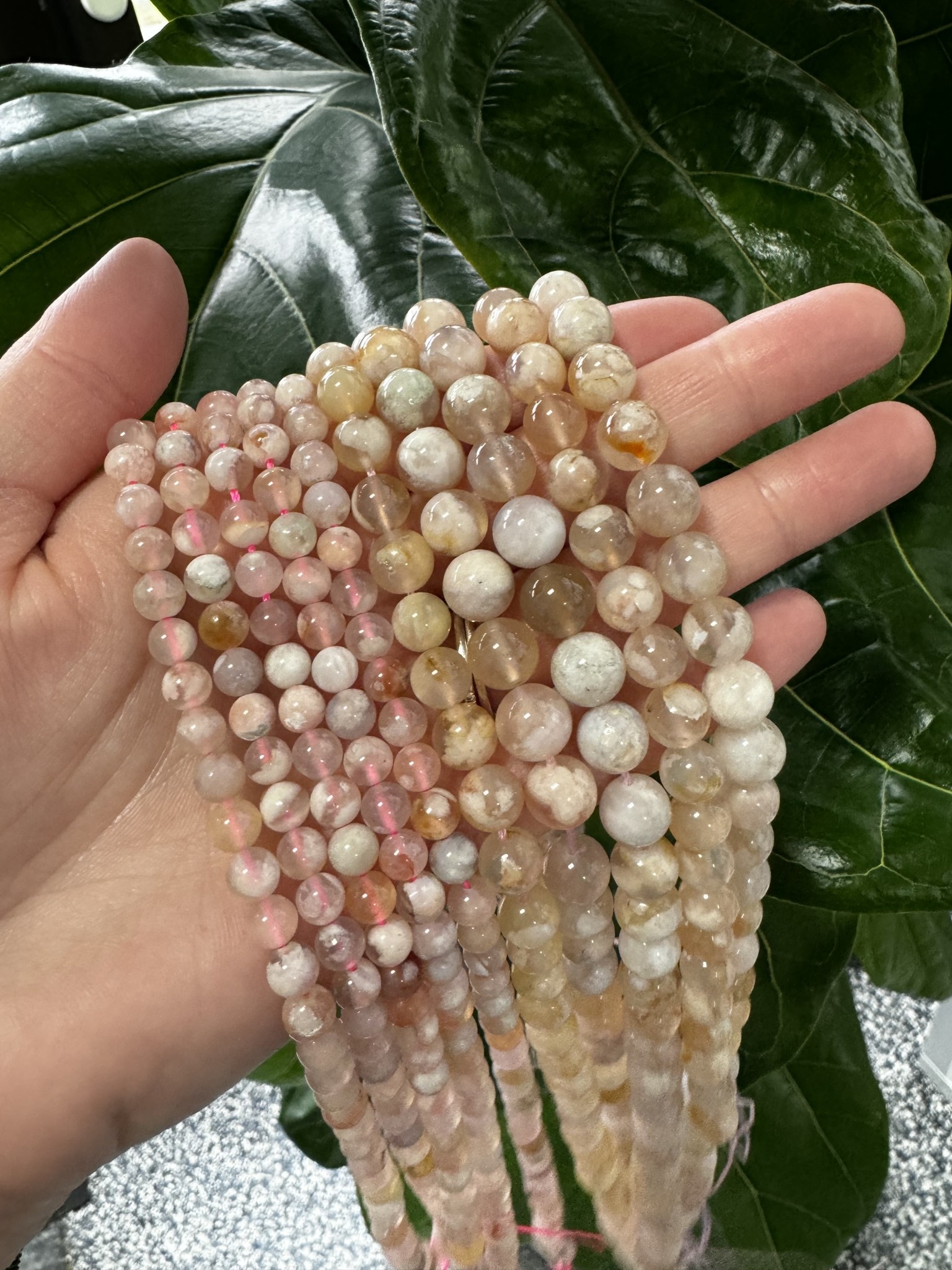 Flower Agate Beads Polished 15.5" Strand 6mm 8mm - The Raw Rock Shop Inc.