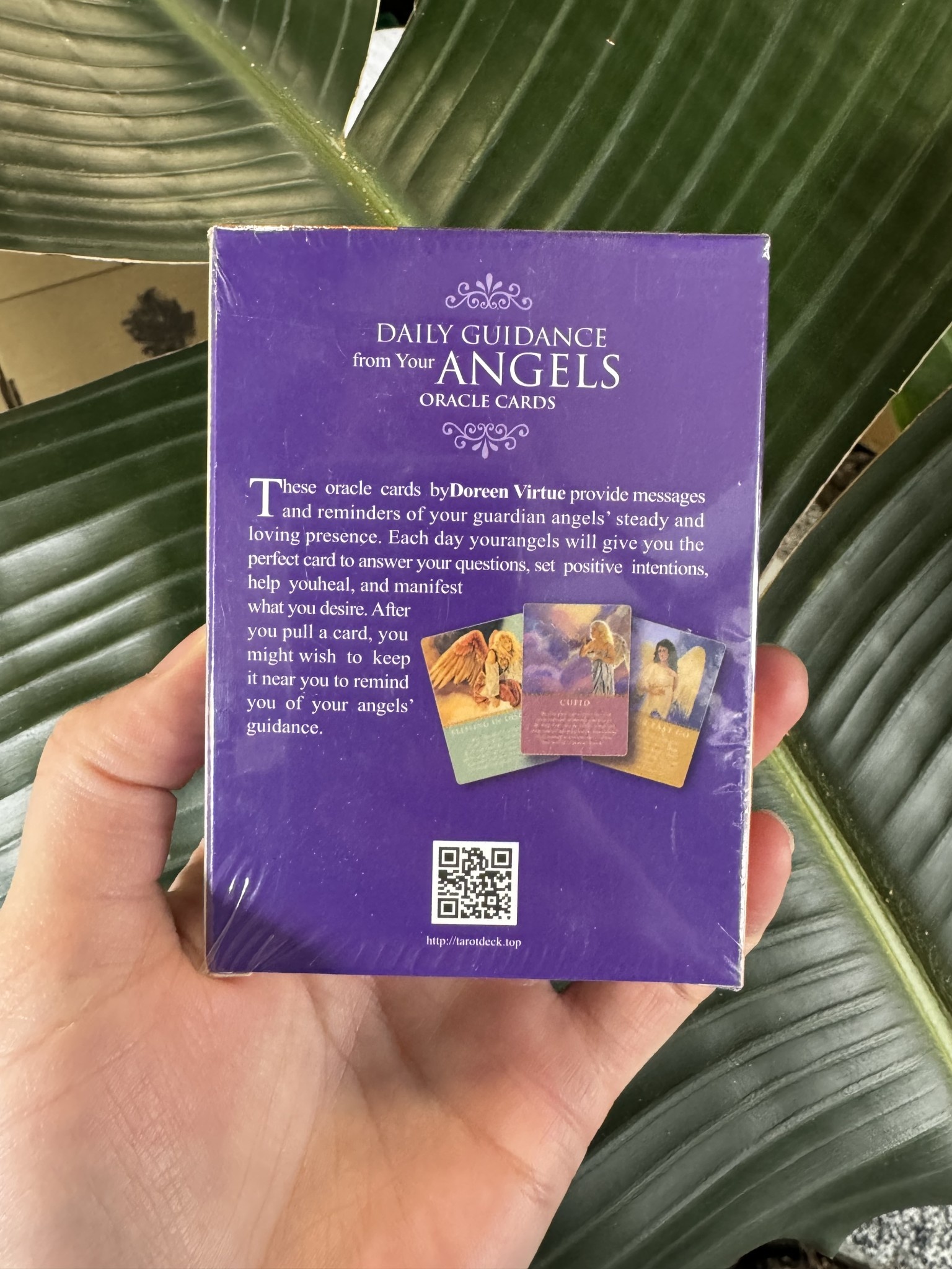 Daily Guidance Oracle Card Deck - The Raw Rock Shop Inc.