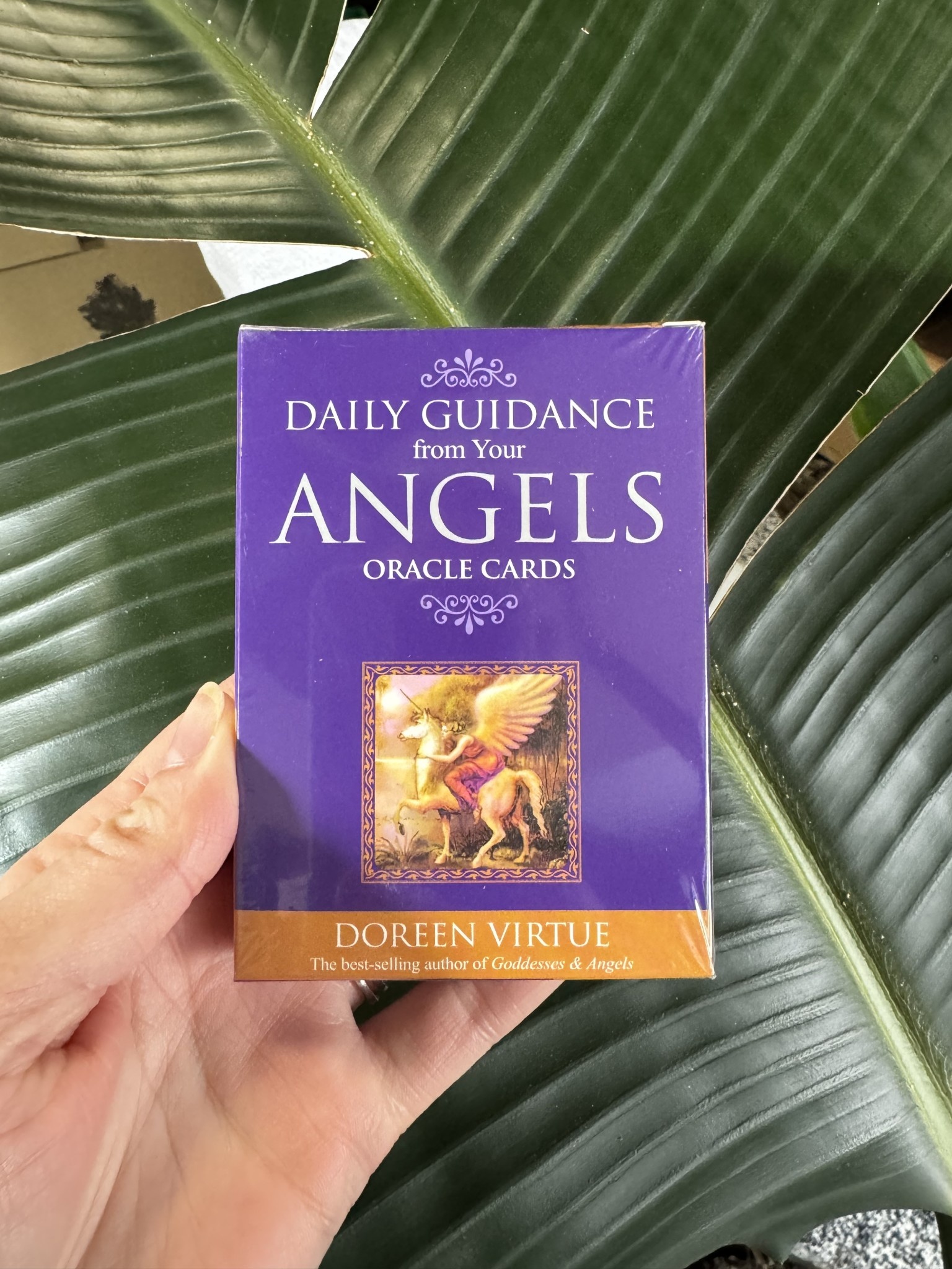Daily Guidance Oracle Card Deck - The Raw Rock Shop Inc.