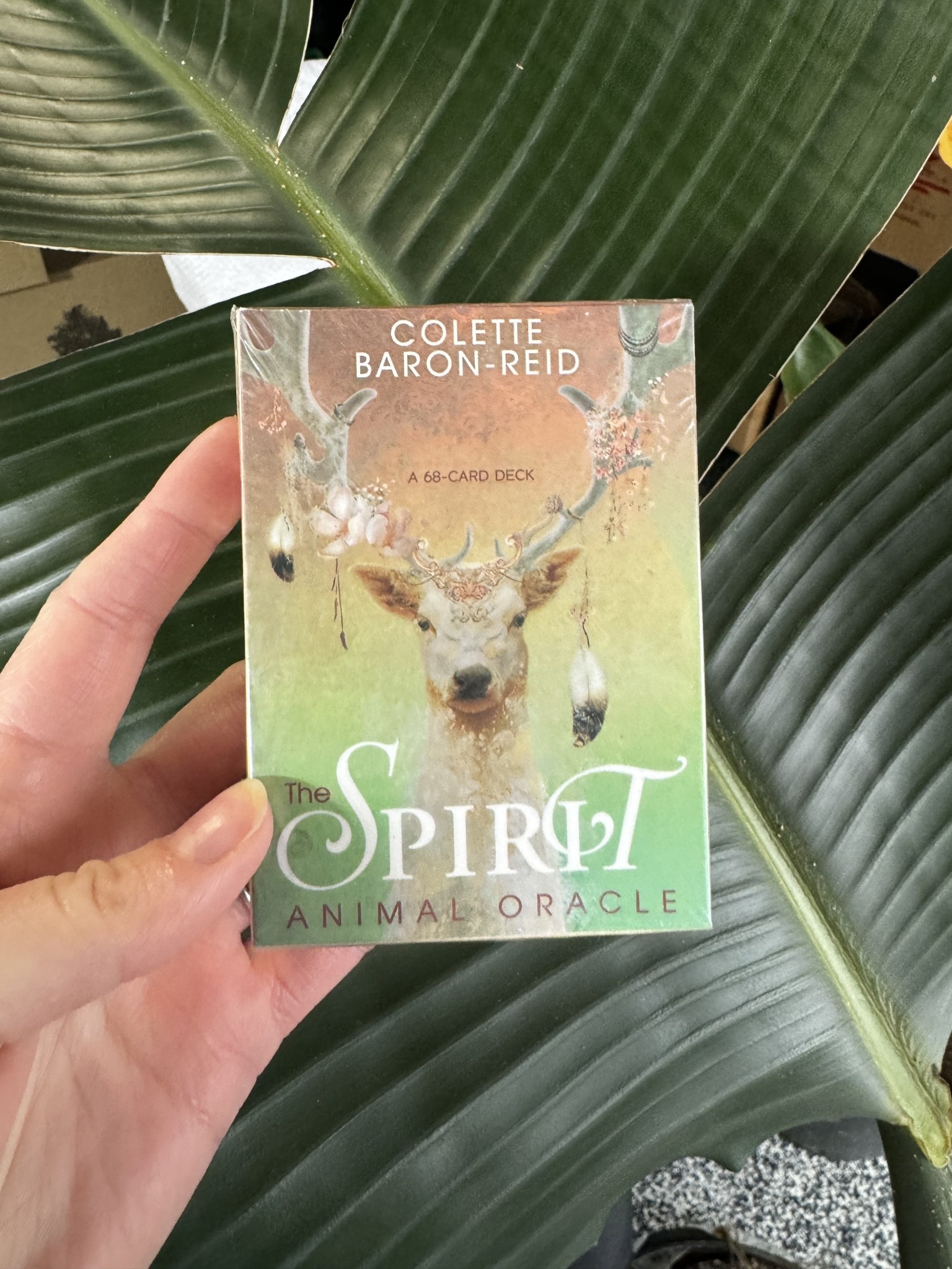 The Spirit Animal Oracle Card Deck - The Raw Rock Shop Inc.