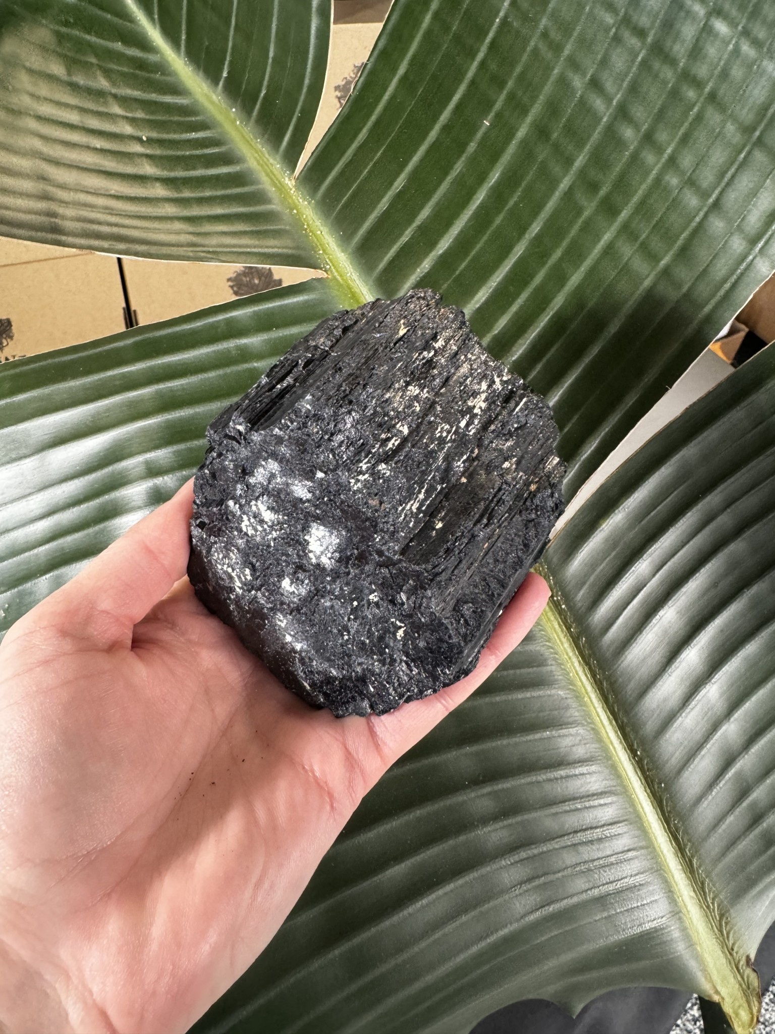 Black Tourmaline Specimen #92, 702gr - The Raw Rock Shop Inc.