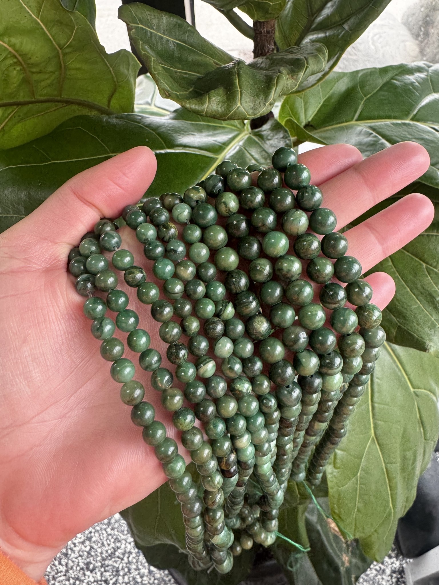 African Jade Beads Polished 15" Strand 6mm 8mm - The Raw Rock Shop Inc.