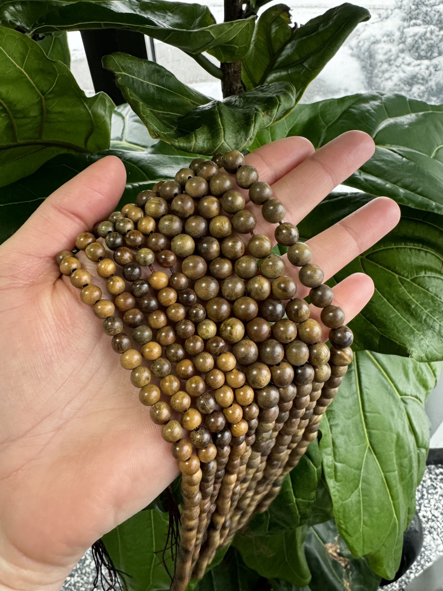 Sandalwood, Olive, Beads 15.5" Strand 6mm 8mm - The Raw Rock Shop Inc.