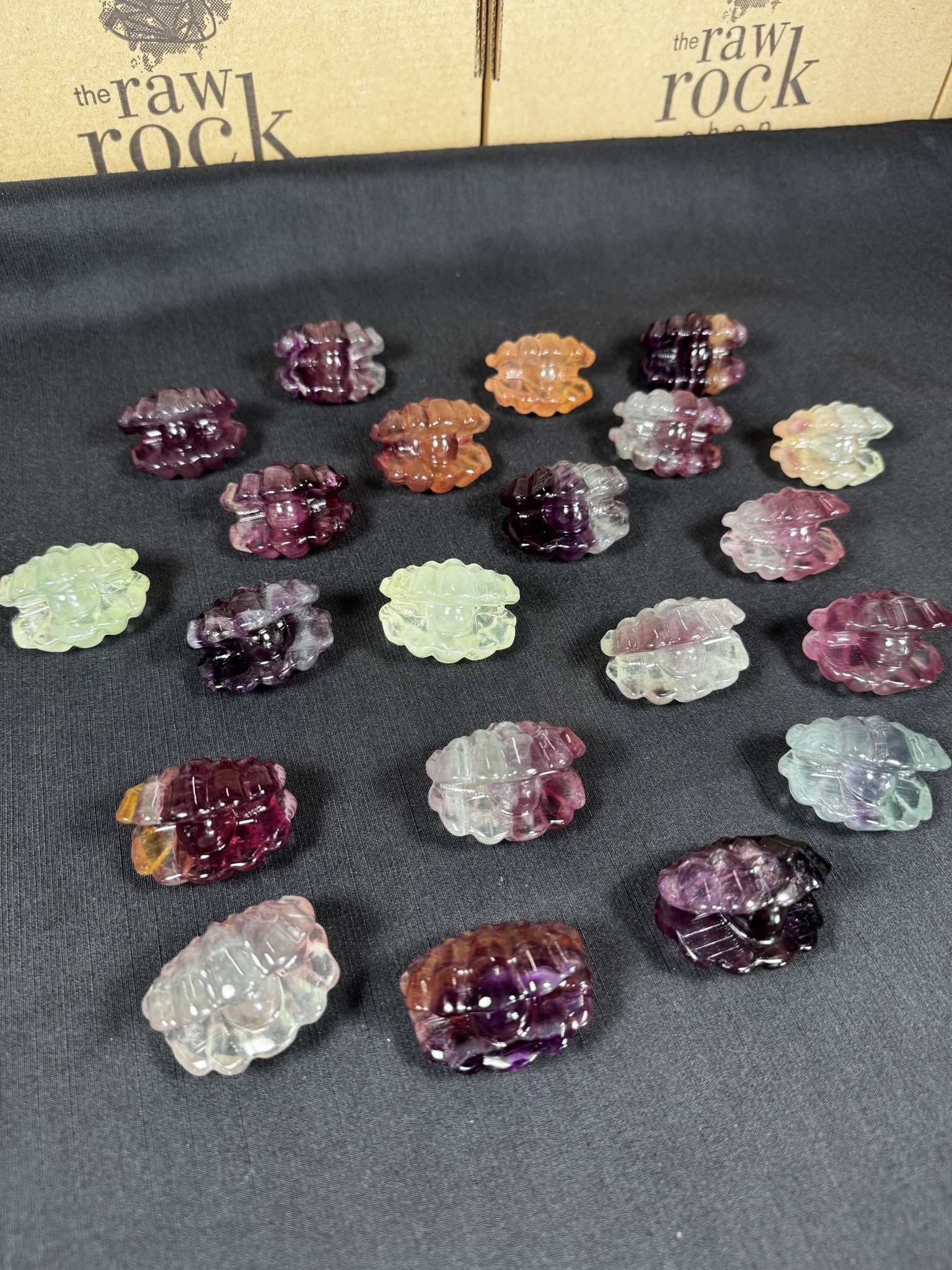 Fluorite Clam Shell - The Raw Rock Shop Inc.