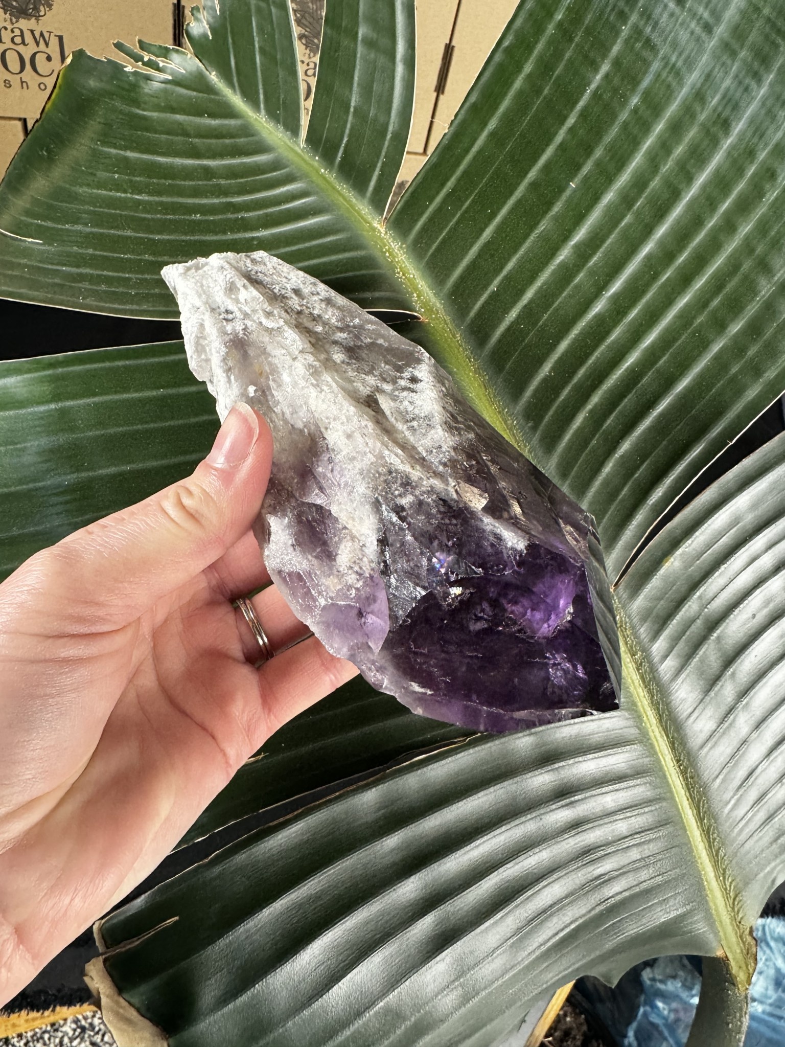 Amethyst Root #116, 842gr *disc.* - The Raw Rock Shop Inc.