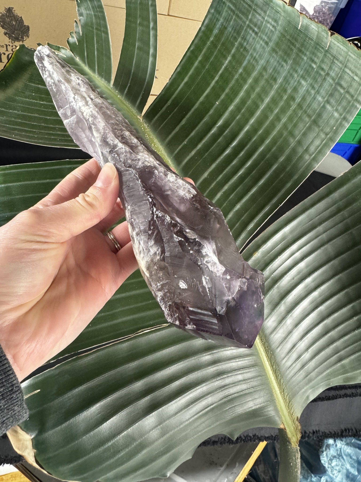 Amethyst Root #117, 676gr *disc.* - The Raw Rock Shop Inc.