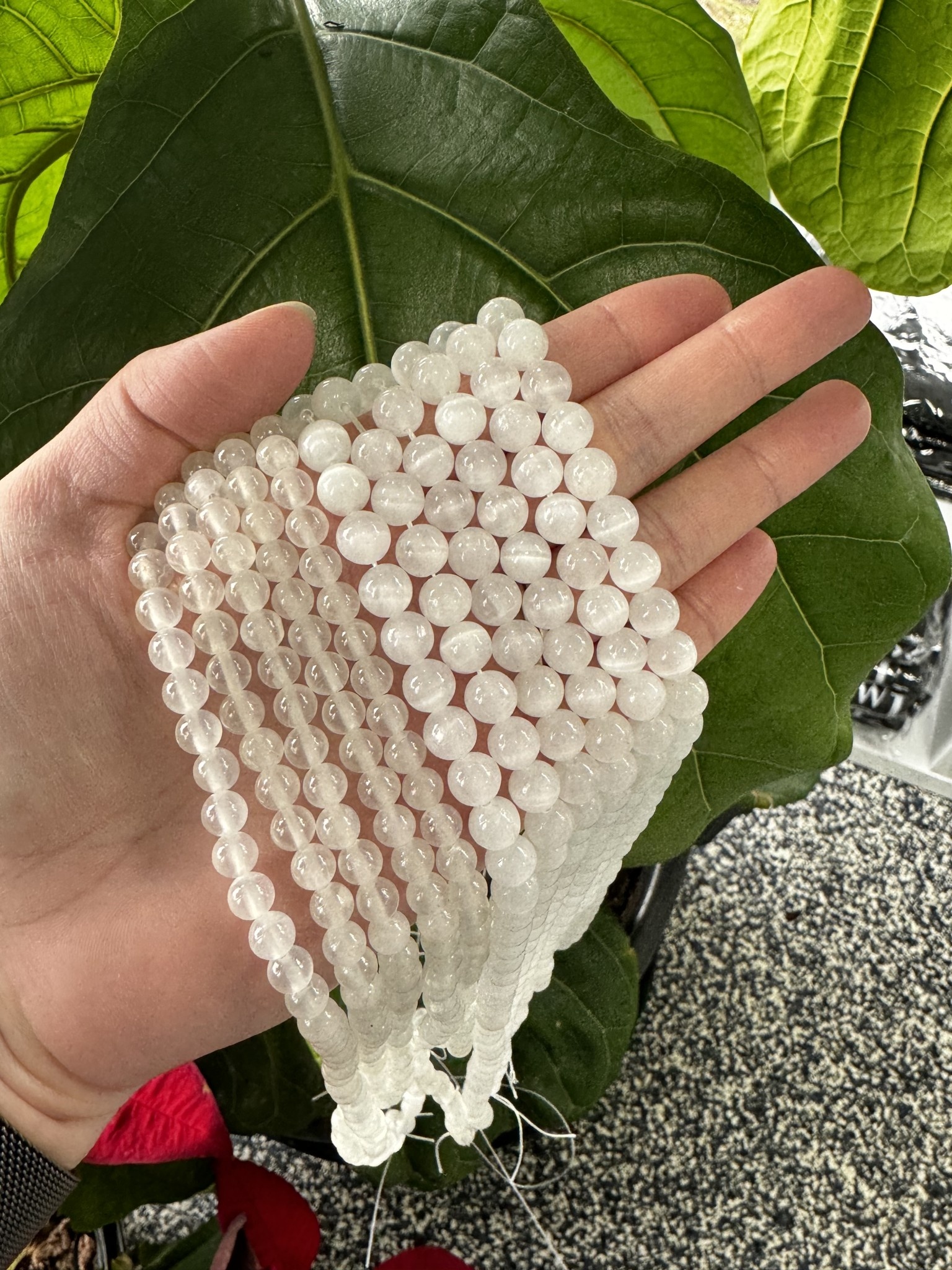 Selenite Beads, high quality, Polished 15" Strand 6mm 8mm - The Raw ...