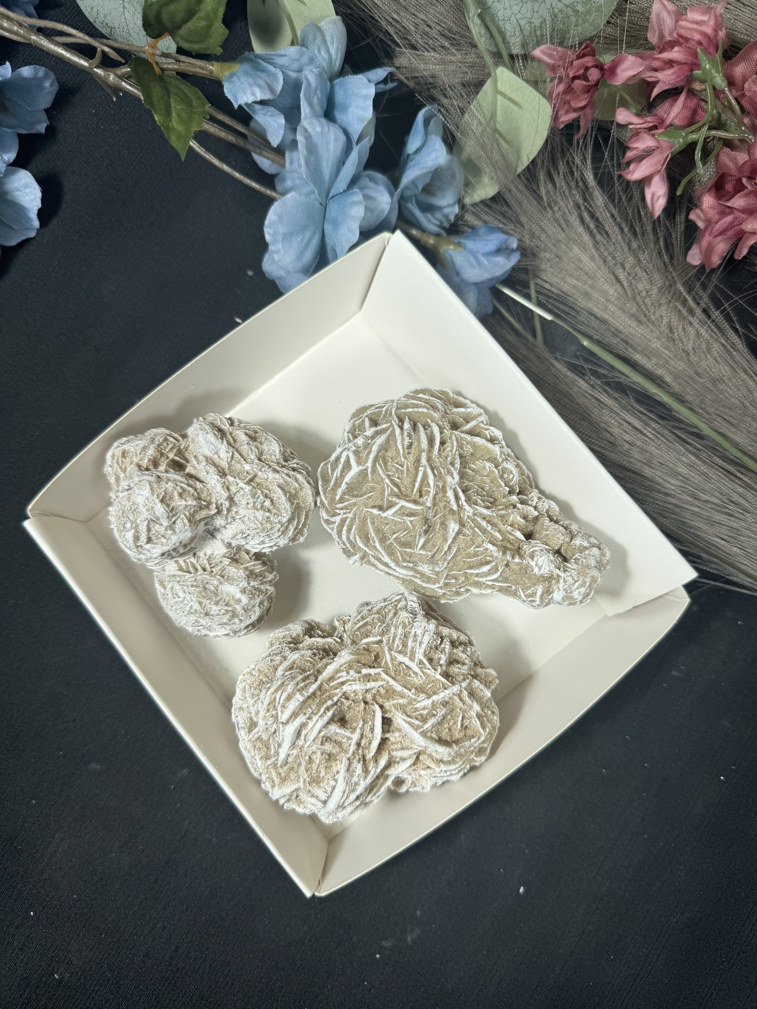 Desert Rose Mini Lot #14, 590gr - The Raw Rock Shop Inc.