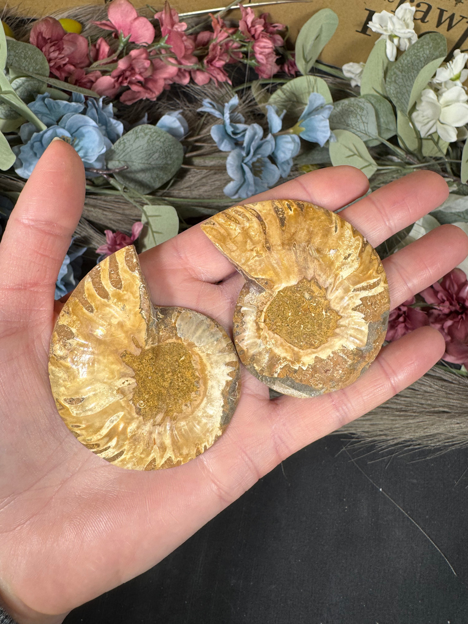Ammonite Pair #48, 62gr - The Raw Rock Shop Inc.