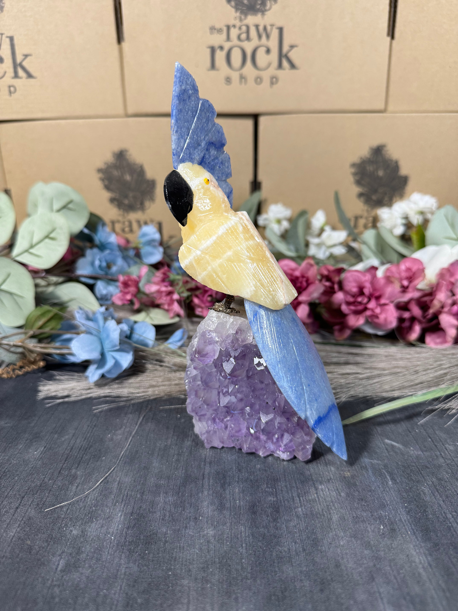 Gemstone Parrot #78, 600gr - The Raw Rock Shop Inc.