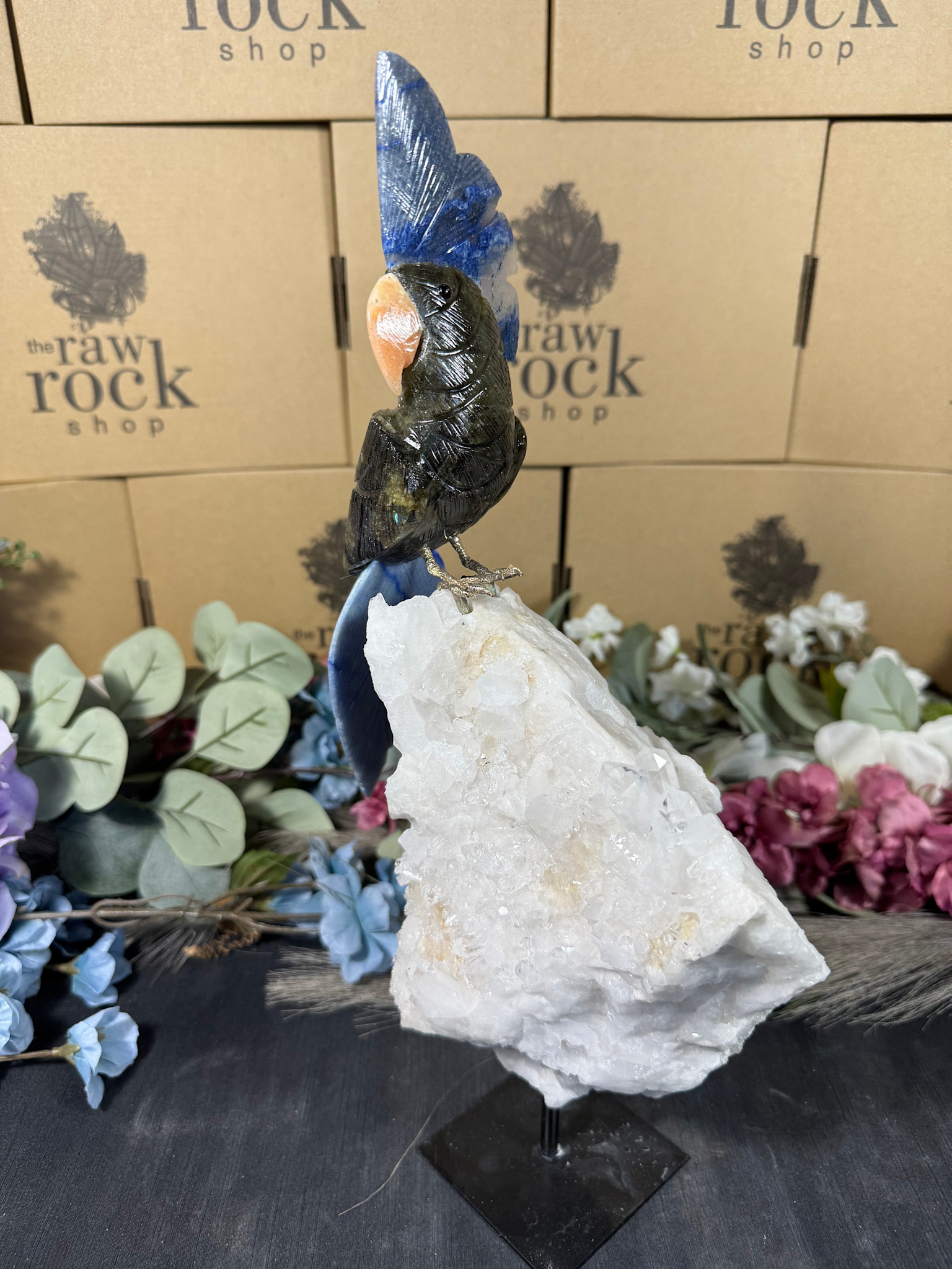 Gemstone Parrot #77, 2074gr *dmg* - The Raw Rock Shop Inc.