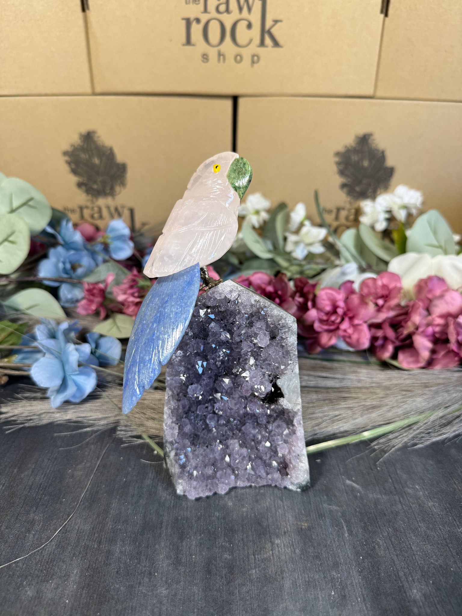 Gemstone Parrot #107, 656gr - The Raw Rock Shop Inc.