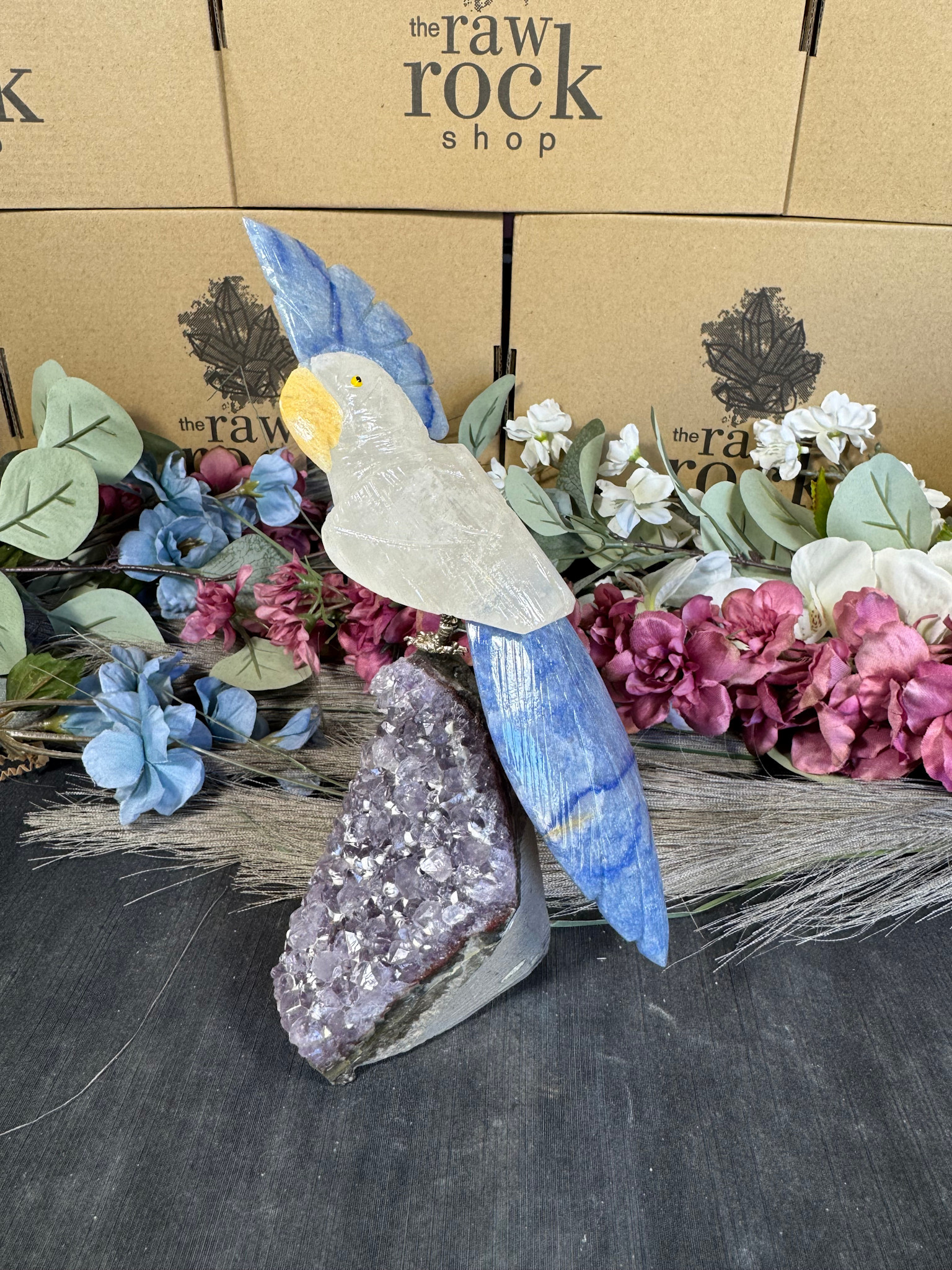 Gemstone Parrot #109, 604gr - The Raw Rock Shop Inc.