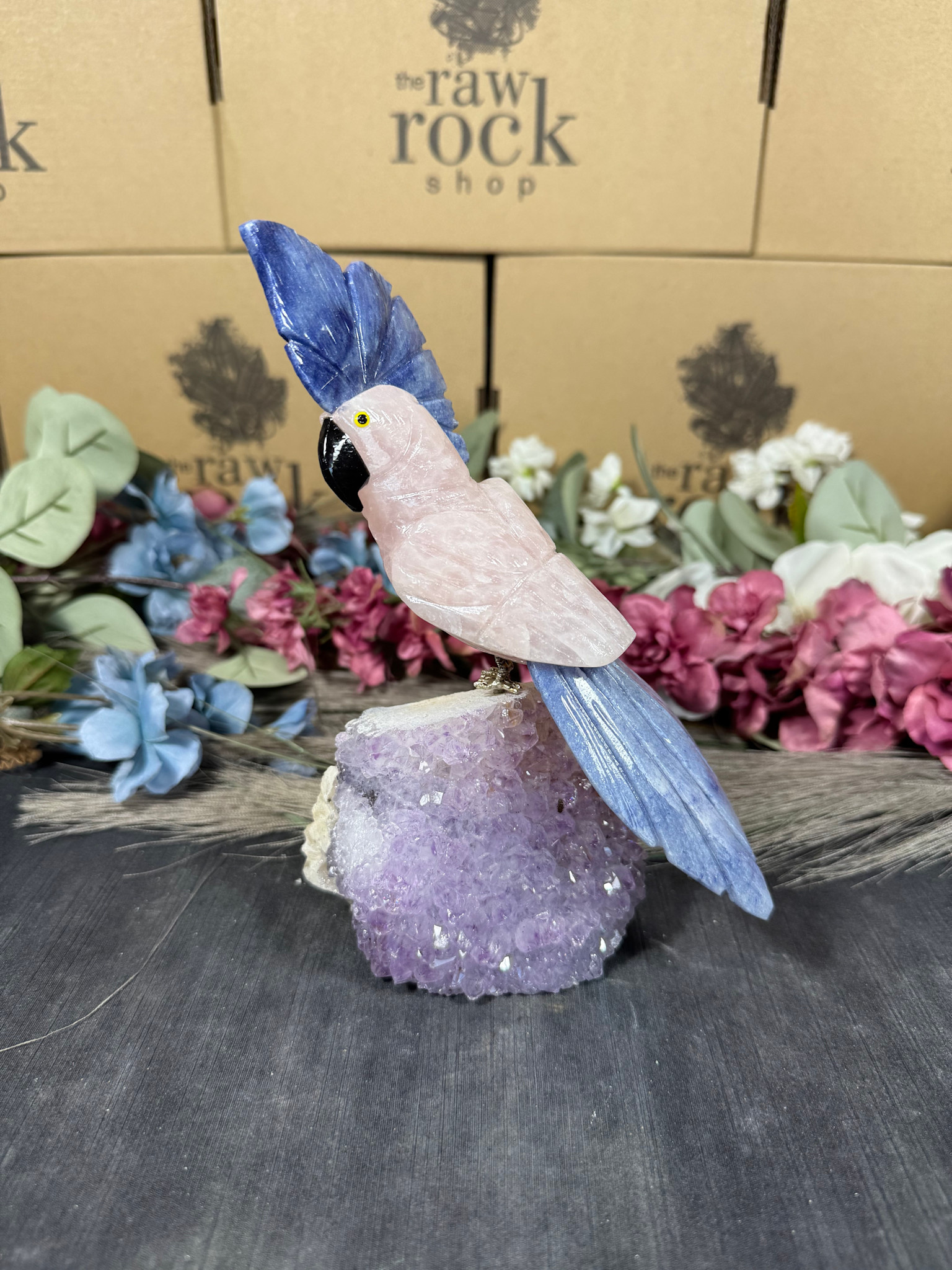 Gemstone Parrot #101, 660gr - The Raw Rock Shop Inc.