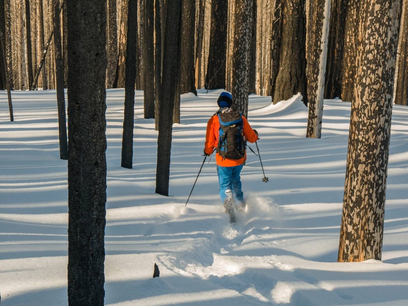 Ski Hok (ski-raquette) 145 cm Avec fixations | Maïkan Aventure - Maïkan ...