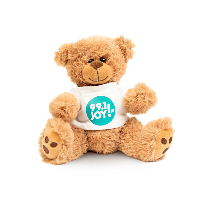 The Joy Store - The Joy Store