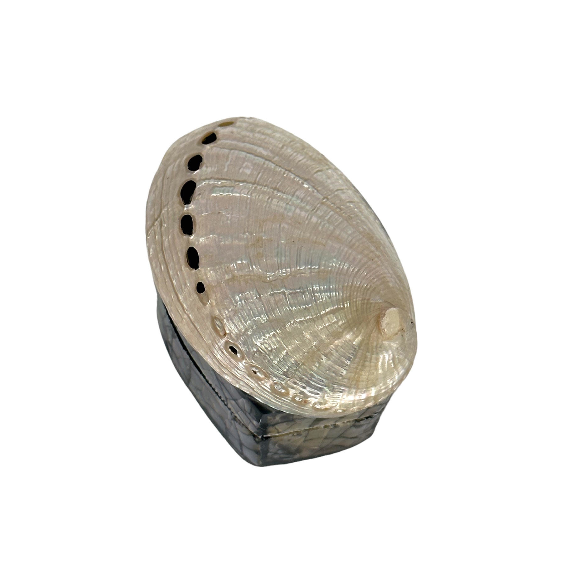 Hand Made 7 Eye Shell Jewelry Box 6.5cm x 4.5cm - Maka Imports