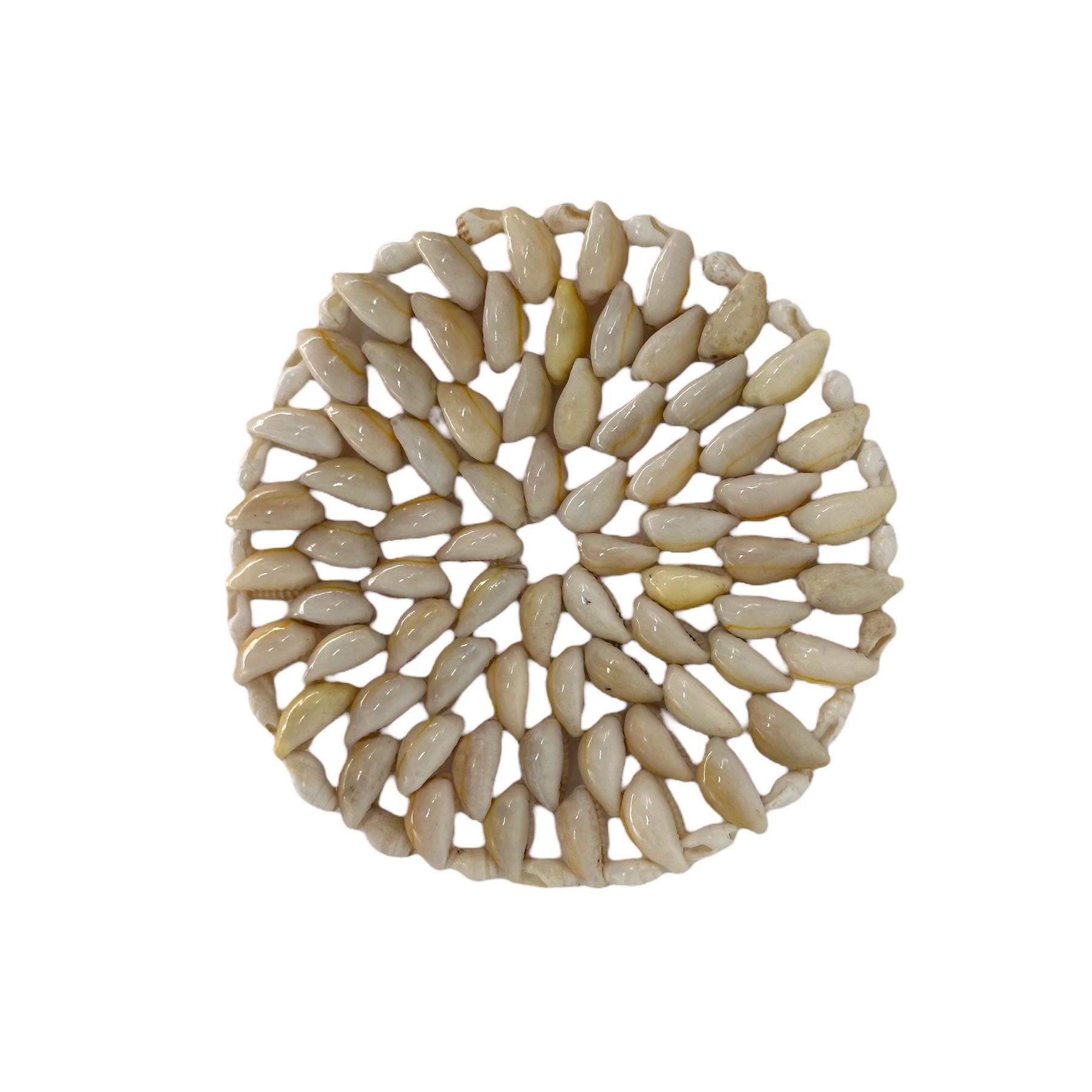 4 Inch Diameter Cyraea Shell Coaster - Maka Imports
