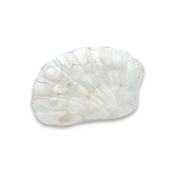 Shell Dishes, Bowls & Trays - Maka Imports