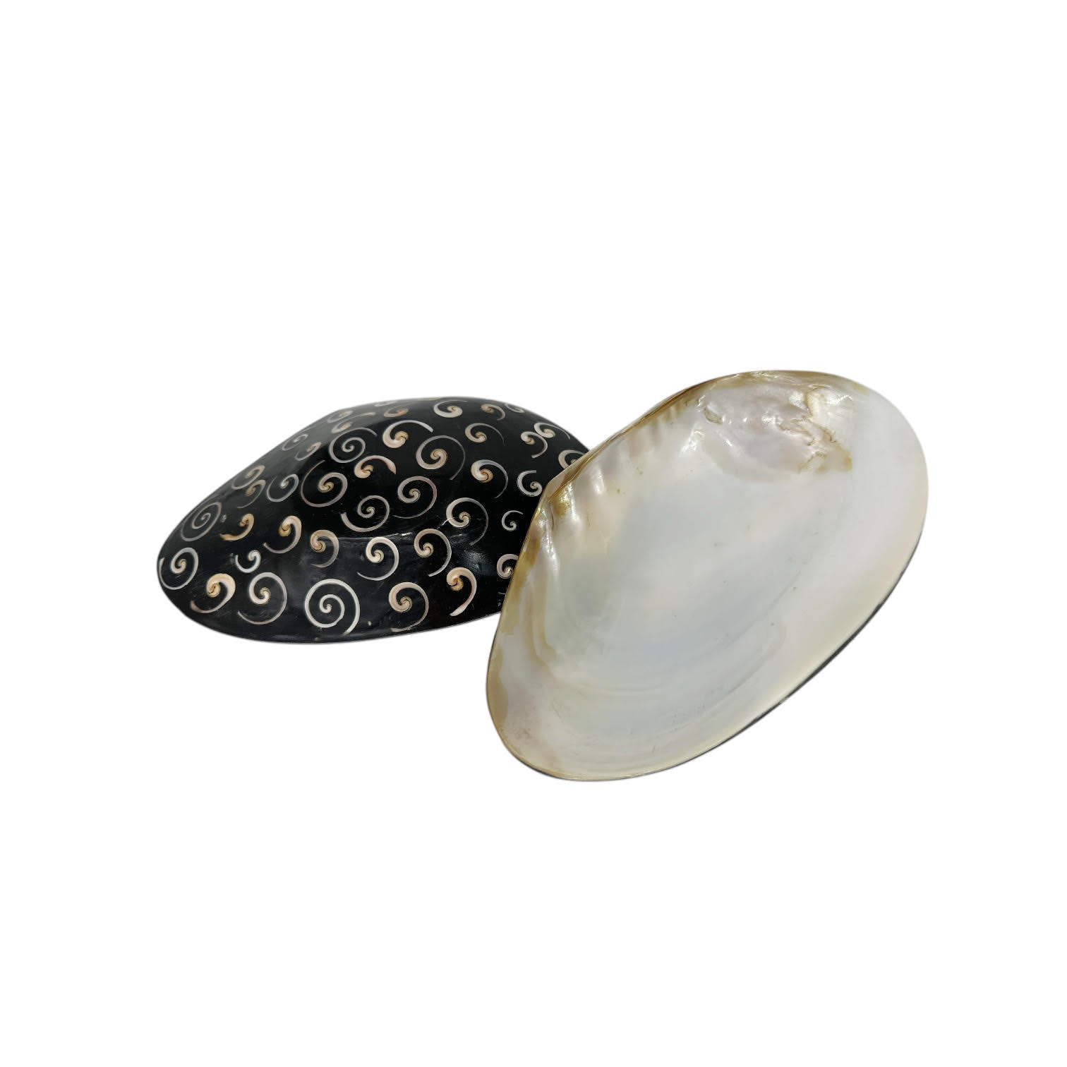 Shell Dish Luana Back - Maka Imports