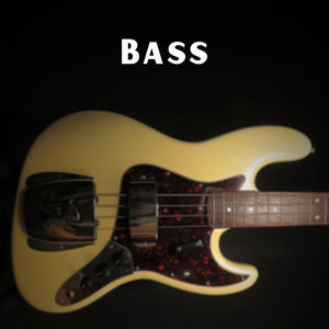 Baltimore Music Company - Baltimore Music Company