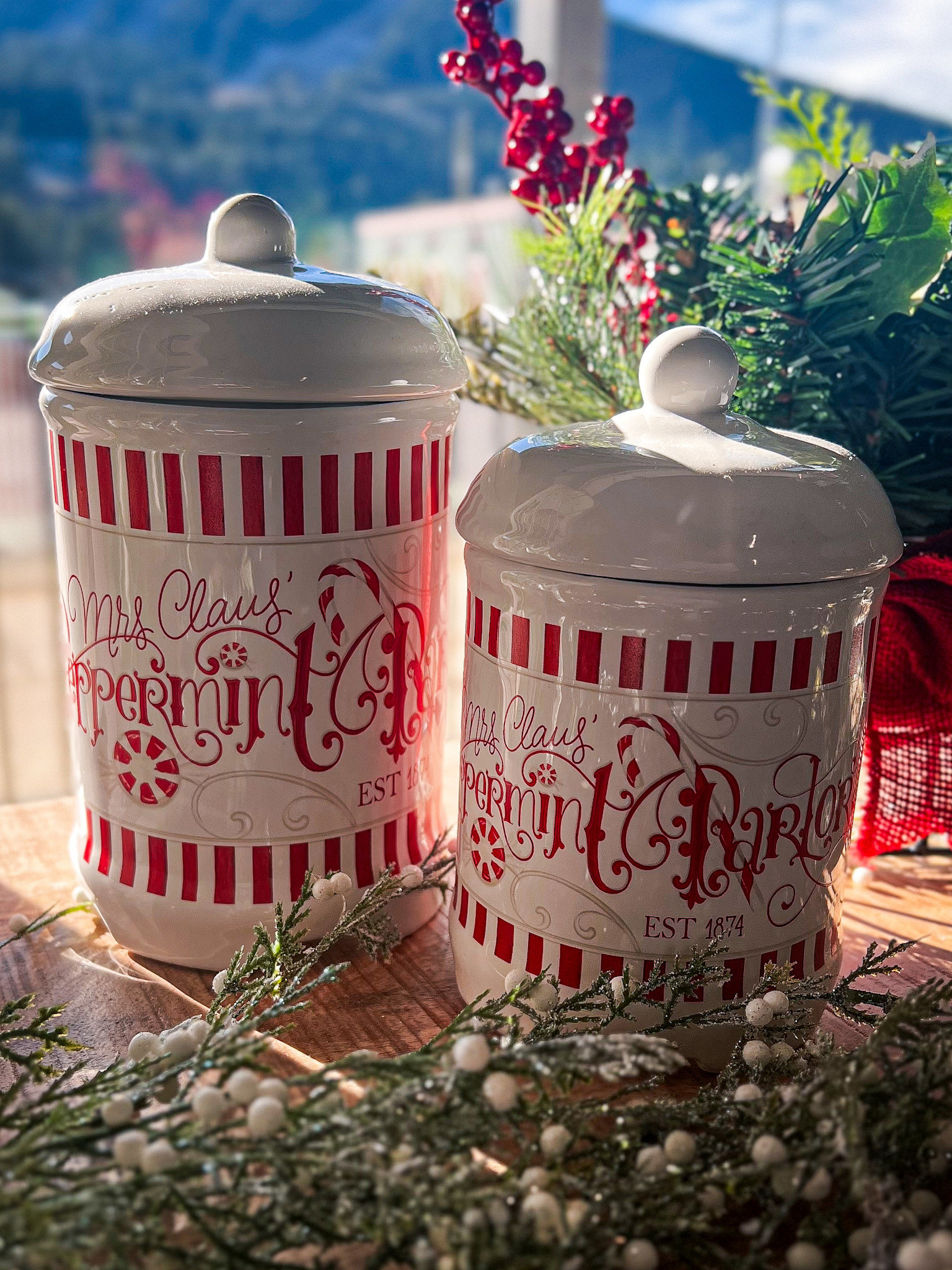 Peppermint Parlor Containers - The Gilded Haus