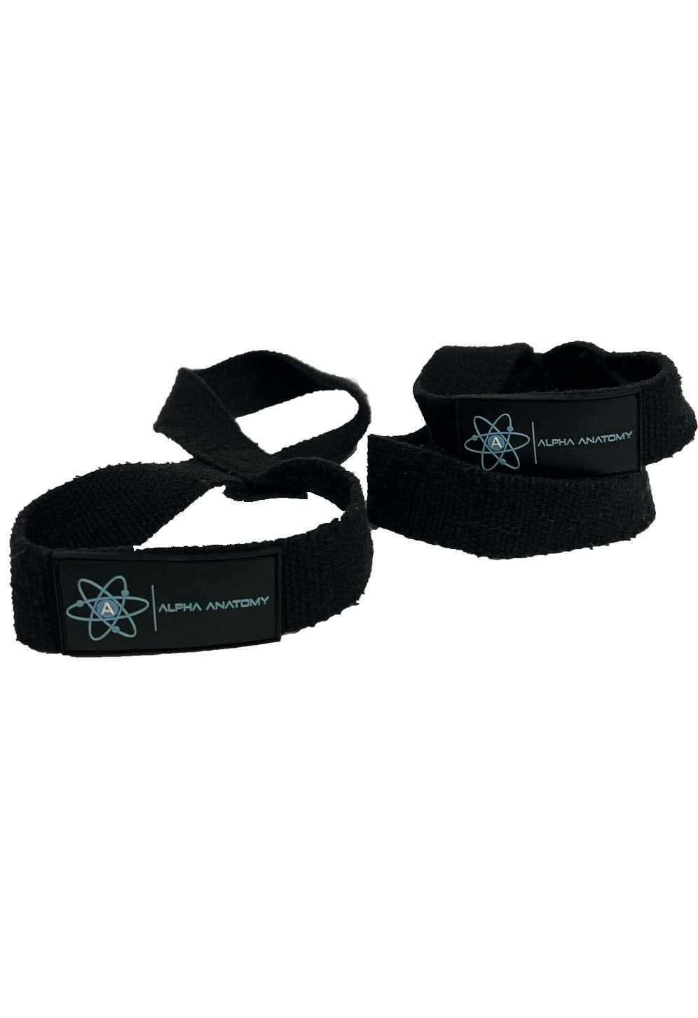 Figure 8 Lifting Straps - Alpha Anatomy