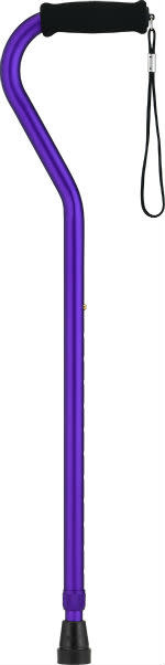 CANE OFFSET PURPLE - AME4Retail