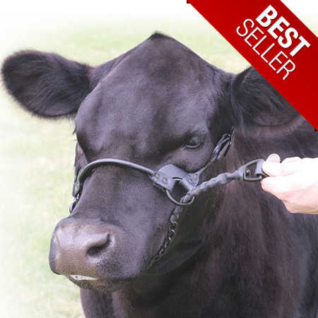 Sullivans 1st Class Show Halter - The Lloydminster Pet Pad Inc.