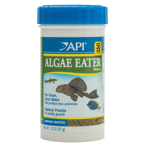 API Algae Eater Wafers - The Lloydminster Pet Pad Inc.