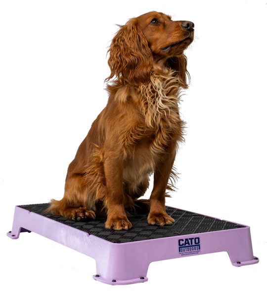 Cato Board Dog Training Platform w/Rubber 24"L x 16"W x 3.5"H - The ...