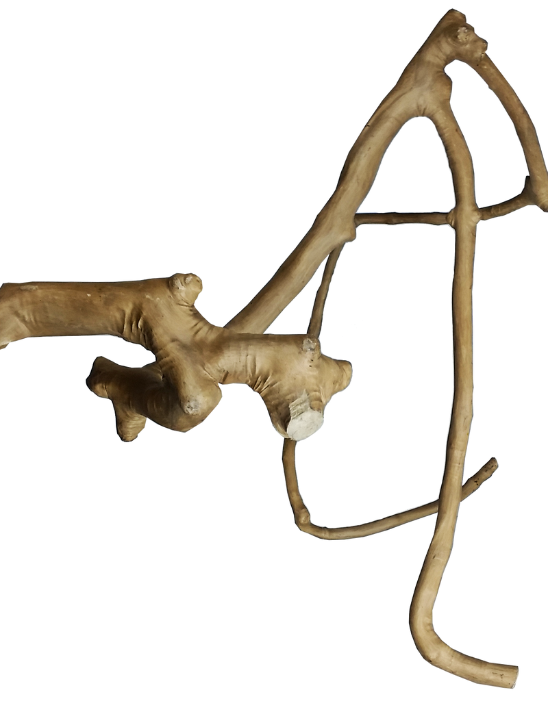 A&E Cage Company AE Cage Company Multi Branch Java Wood Perches - Noah's Ark