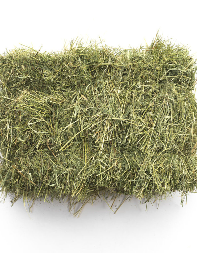 Noah's Ark Feed & Supply Hay Bale Timothy 60# - Noah's Ark