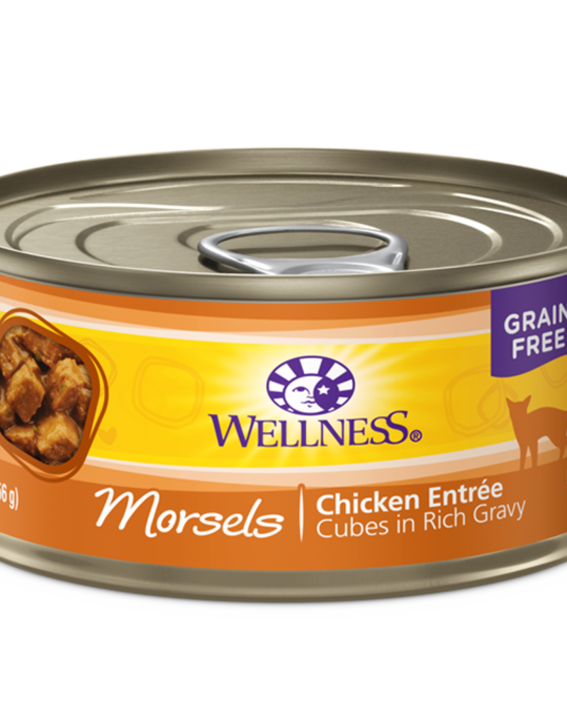 Wellness Complete Health Cubed Morsels Chicken Entree Canned Cat Food 55oz Can Noahs Ark