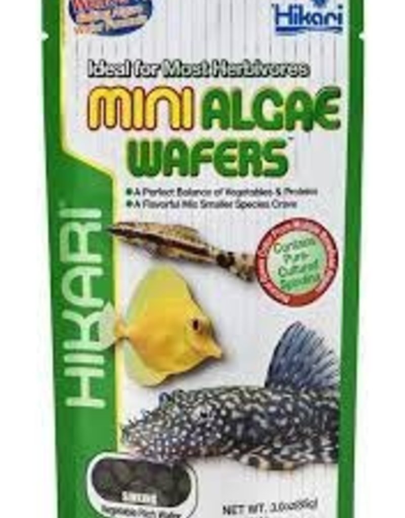 Hikari Hikari Mini Algae Wafers 3Oz - Noah's Ark